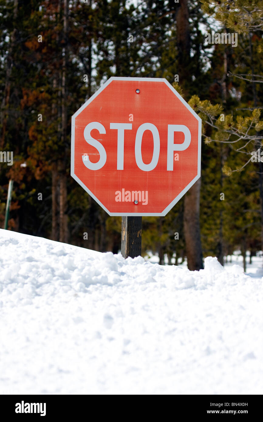 Stop sign in snow drift hi-res stock photography and images - Alamy