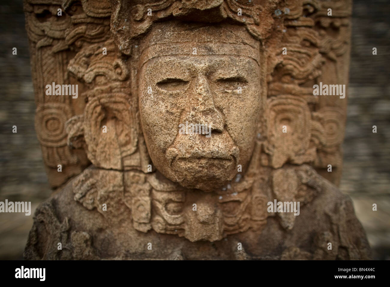 A stela representing the king Zots Choj Muan at the ancient Mayan city ...