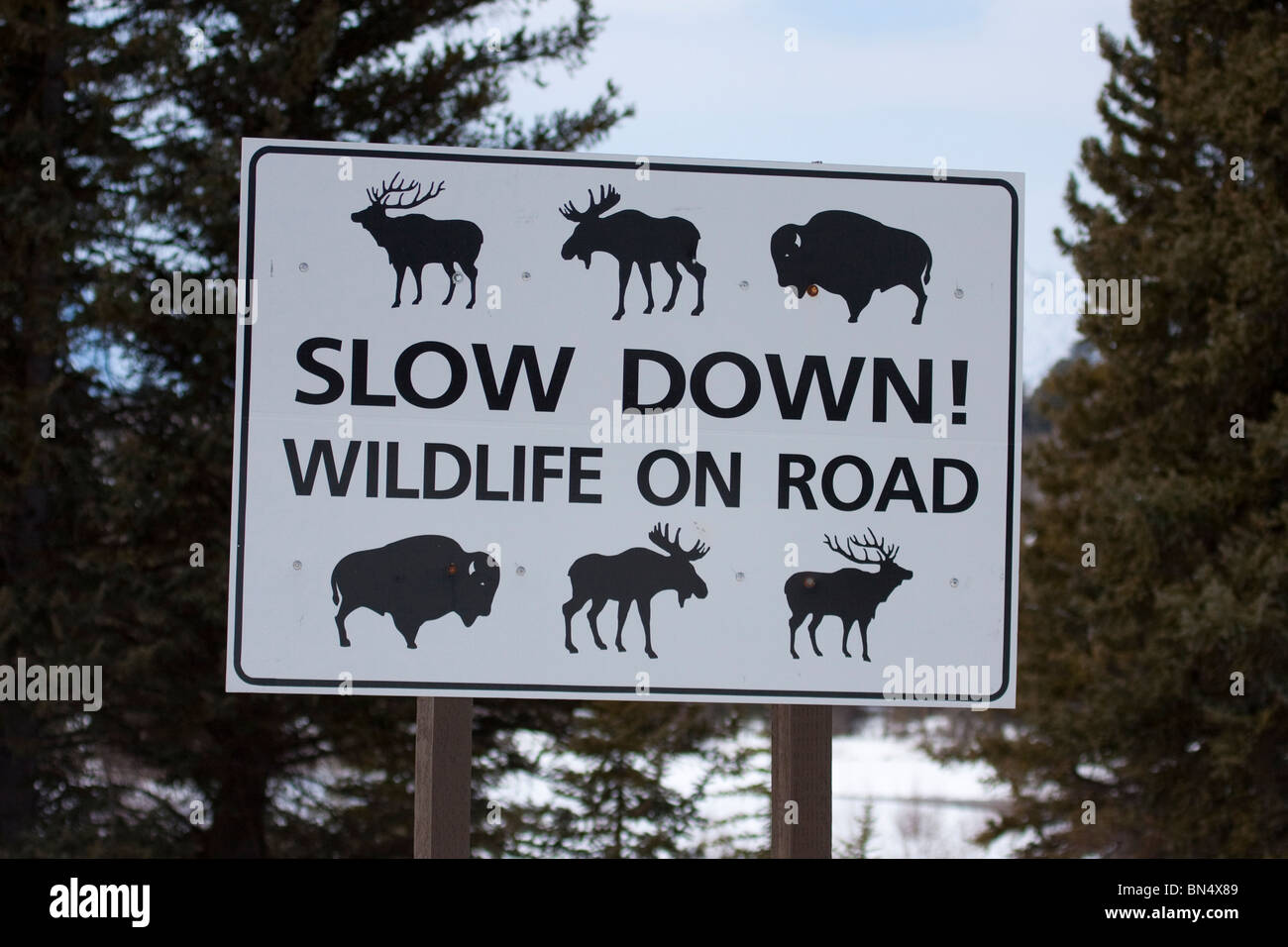Deer on road warning sign hi-res stock photography and images - Alamy