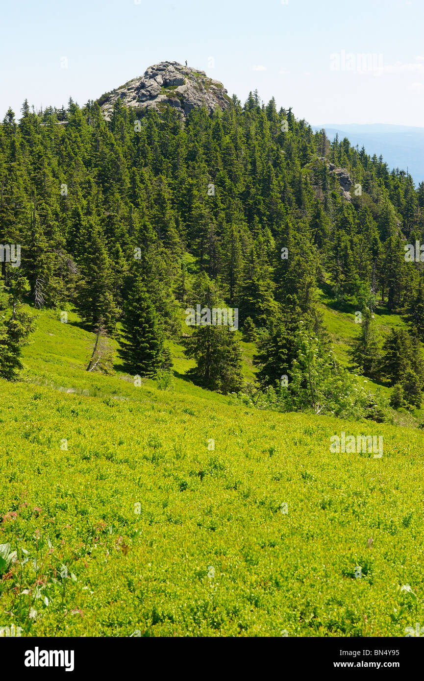 Arber mountain railway hi-res stock photography and images - Alamy