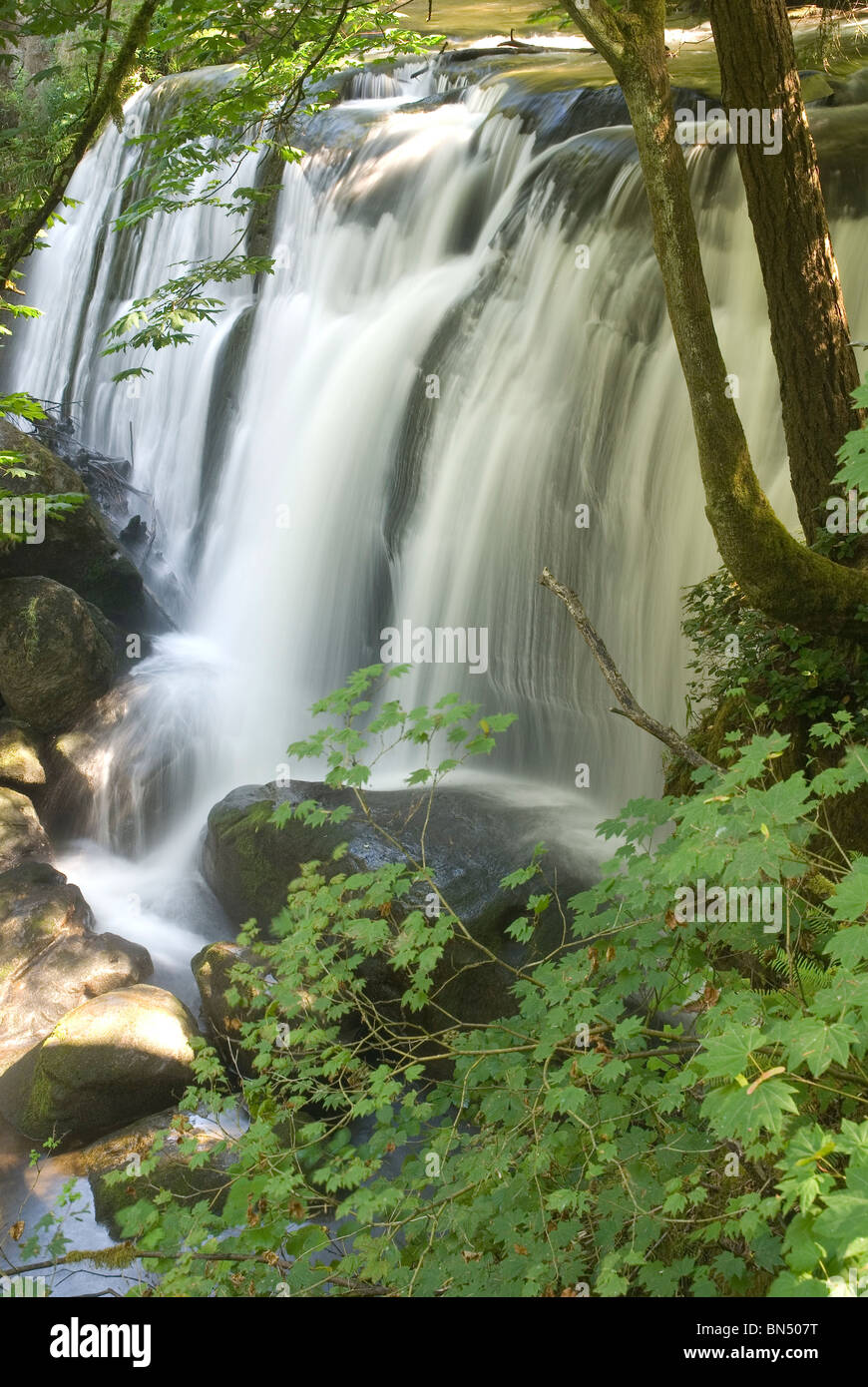 The waterfall at Whatcom Falls Park in Bellingham, Washington State ...