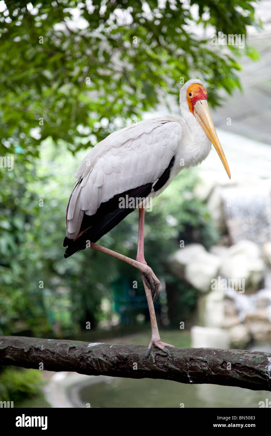 Claw crane hi-res stock photography and images - Alamy