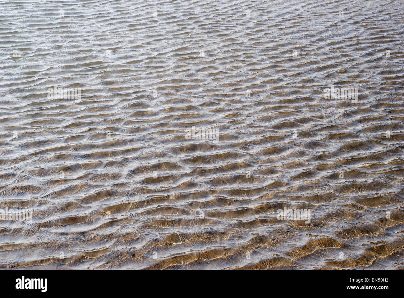 Natural Texture created by calm sea water on the beach Stock Photo - Alamy
