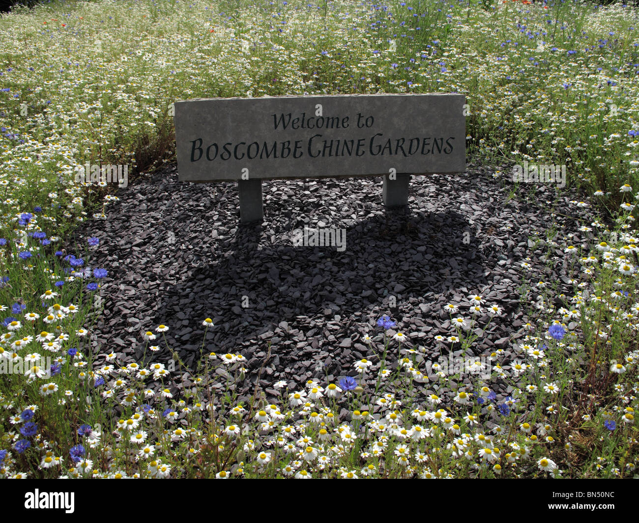 Boscombe Chine Gardens High Resolution Stock Photography and Images - Alamy