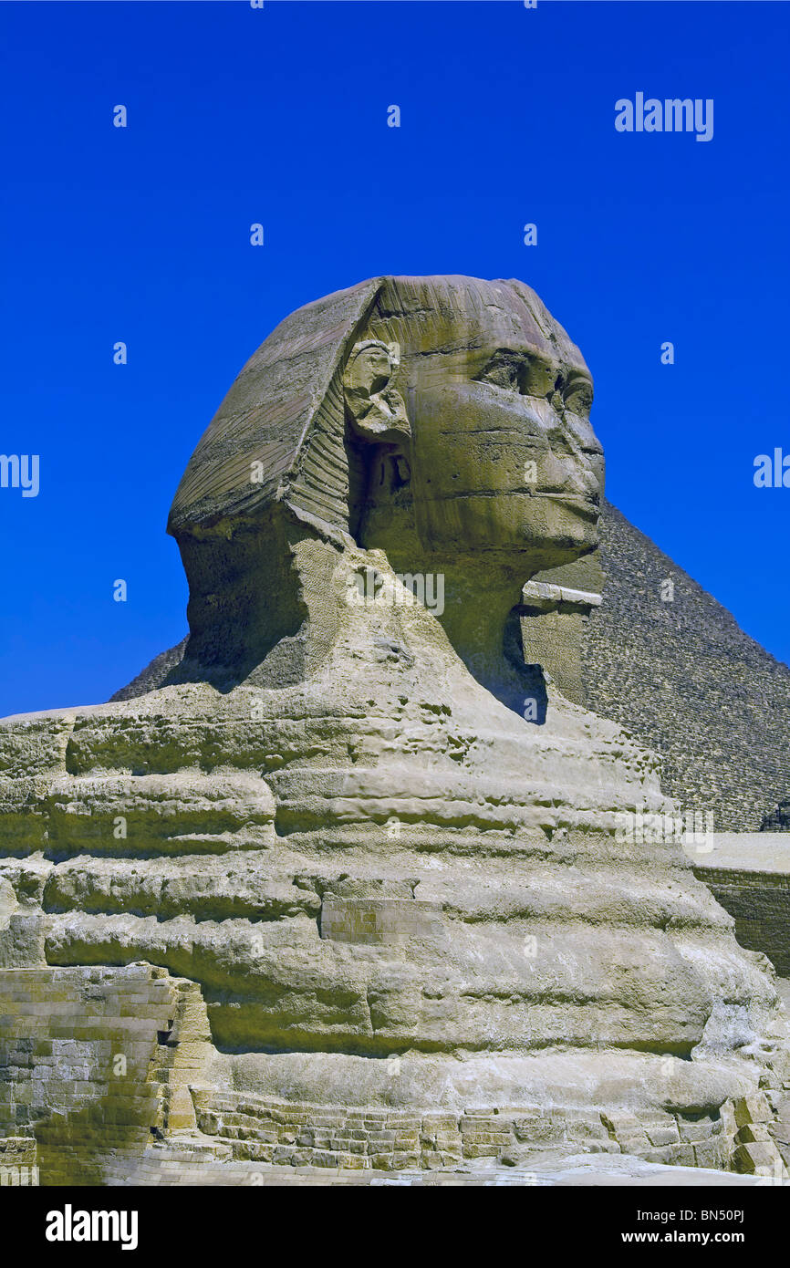 Portrait of the Great Sphinx of Giza in Egypt Stock Photo - Alamy