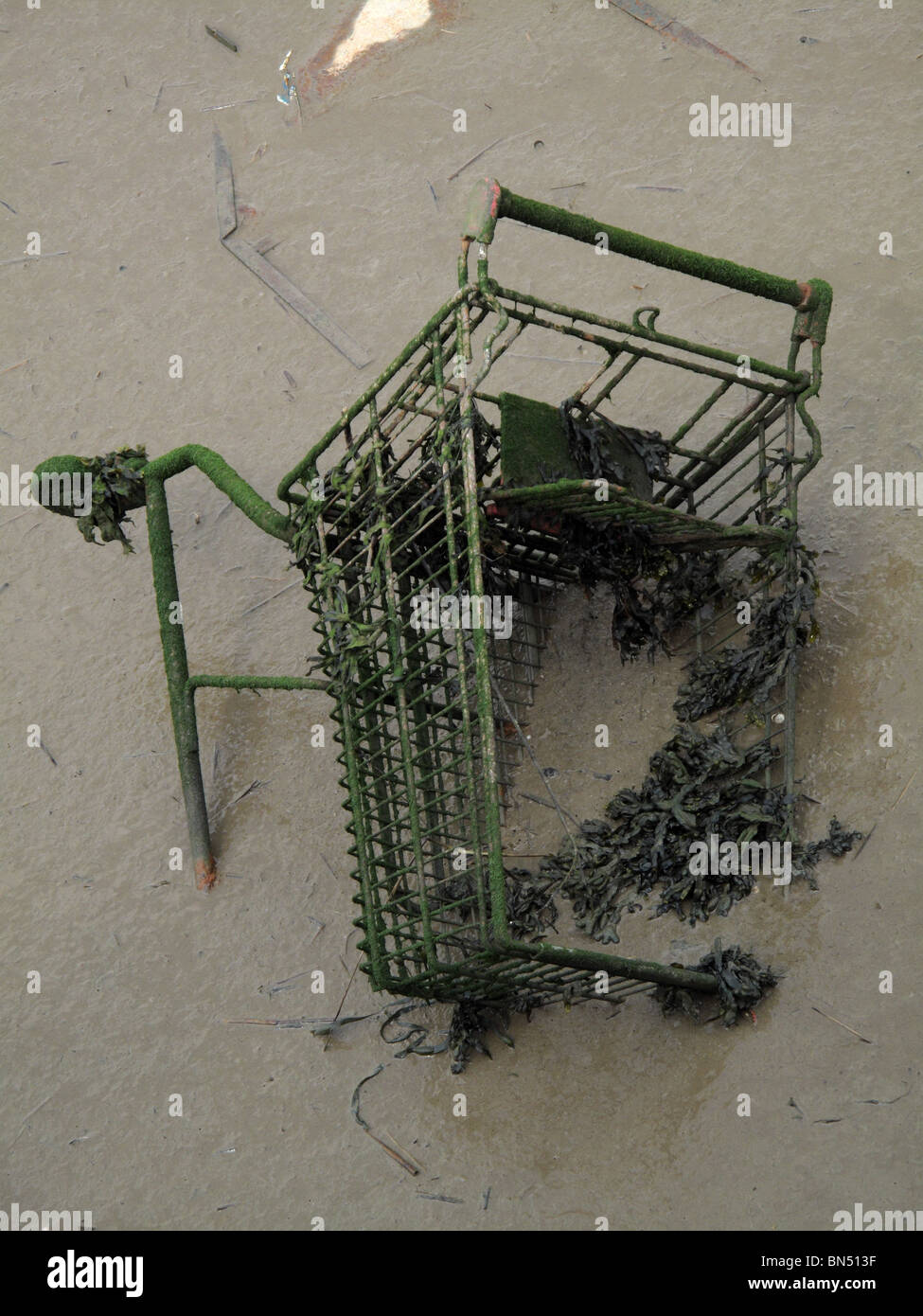 Dumped shopping trolley Stock Photo - Alamy