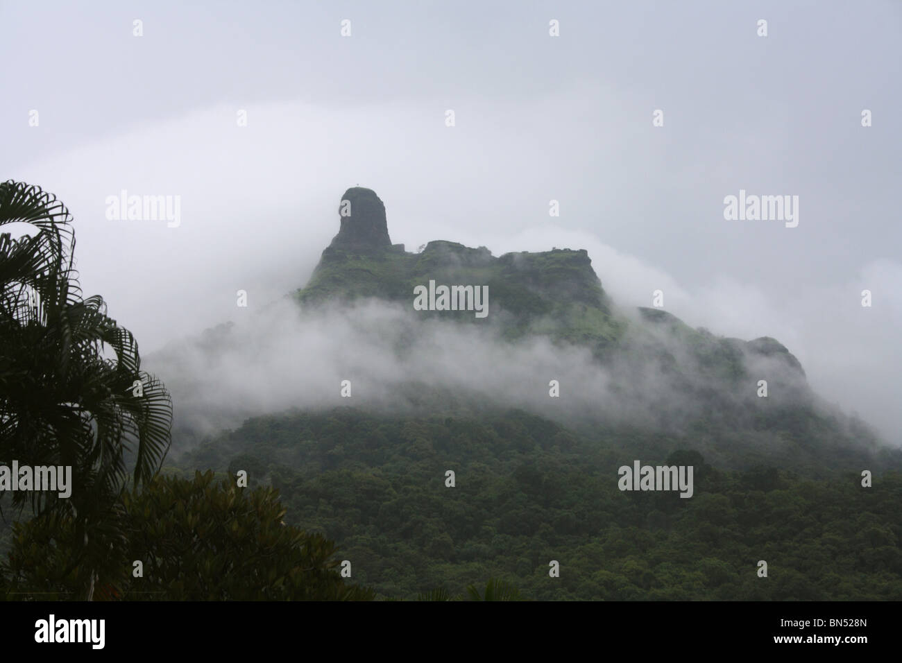 Karnala bird sanctuary hi-res stock photography and images - Alamy