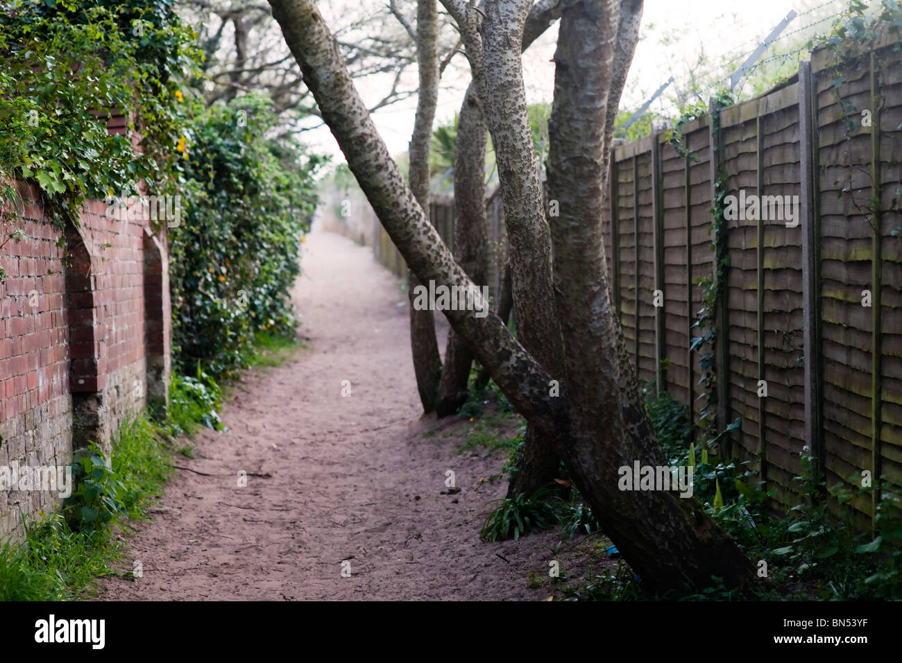 Path with fence hi-res stock photography and images - Alamy