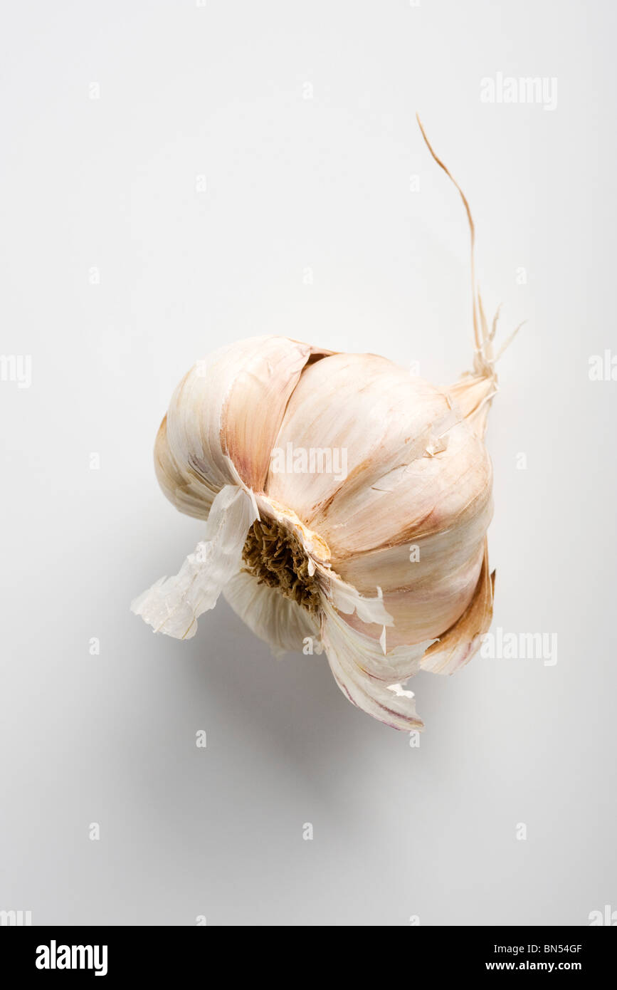 Garlic Head Cut Out High Resolution Stock Photography and Images - Alamy