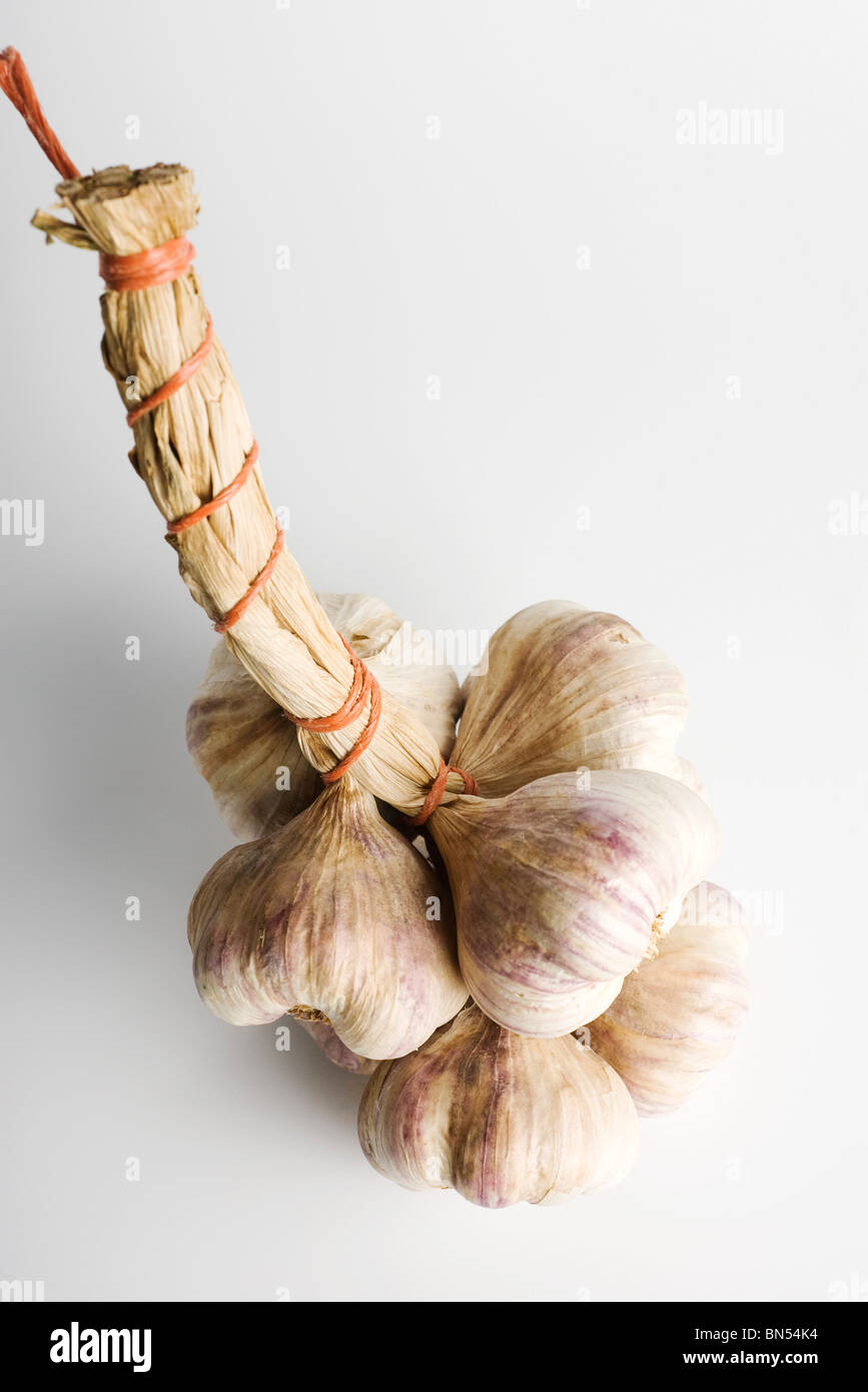 Bunch of garlic bulbs Stock Photo - Alamy
