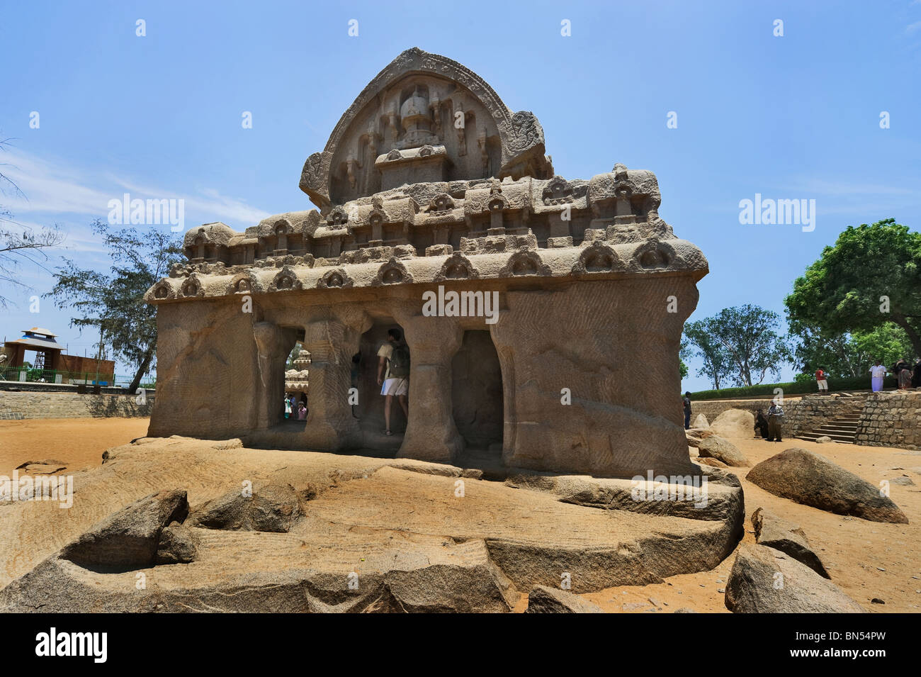 India Tamil Nadu Mamallapuram the Bhima Ratha in the Panch Rathas, a ...