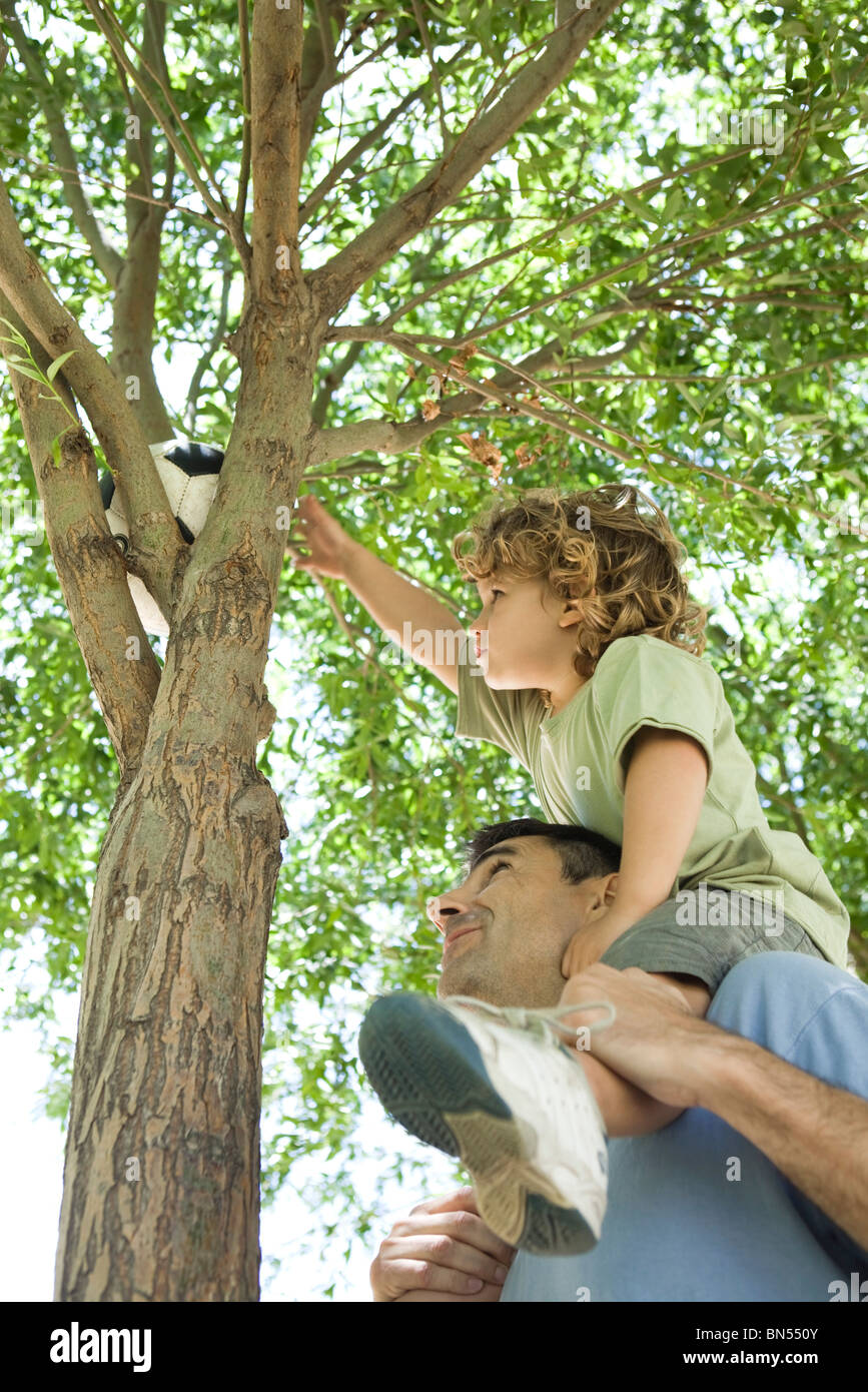 Child stuck up tree hi-res stock photography and images - Alamy