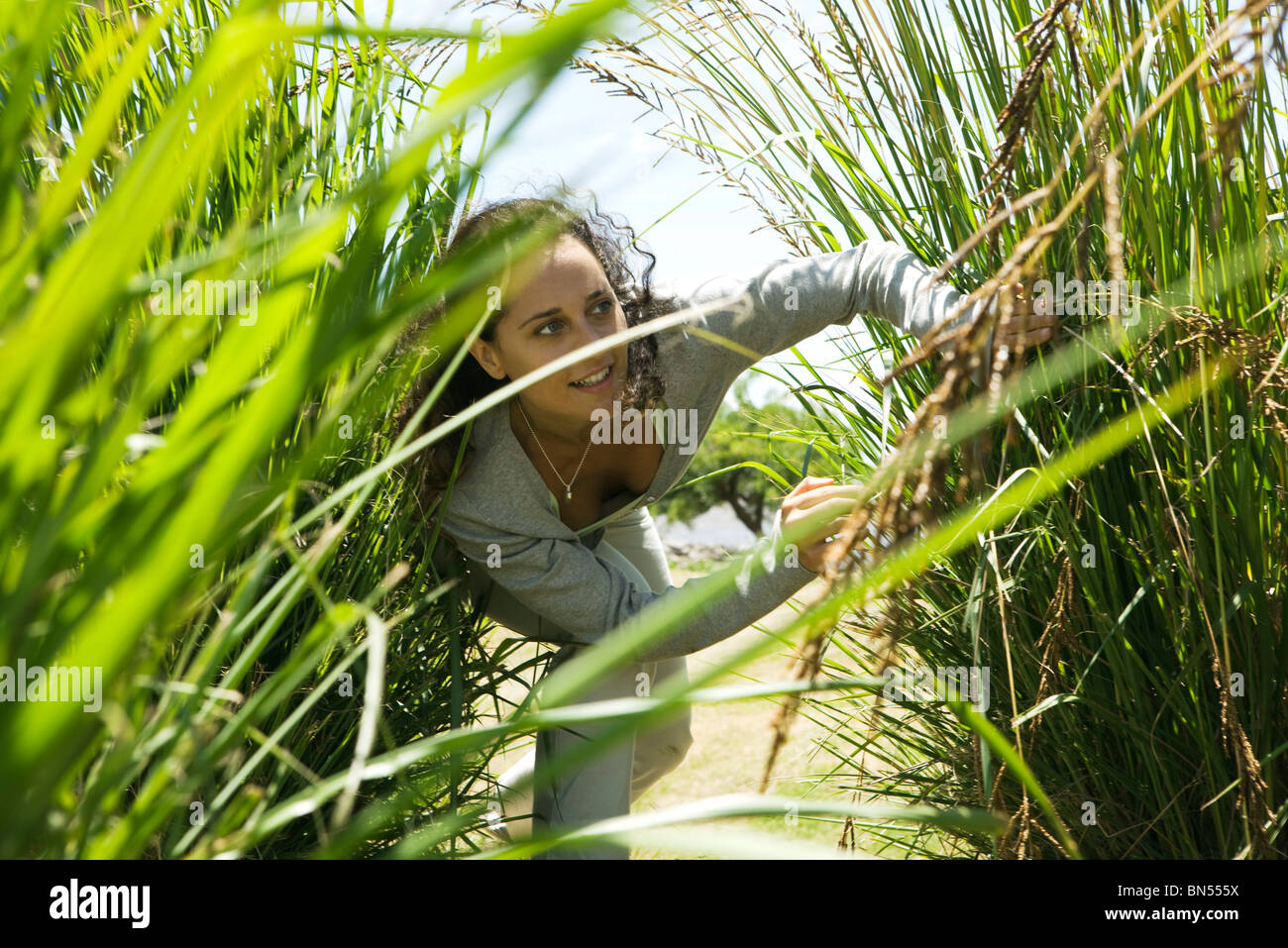 Woman hiding in tall grass Stock Photo - Alamy