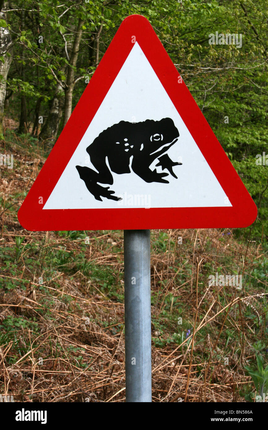 Toads road sign hi-res stock photography and images - Alamy