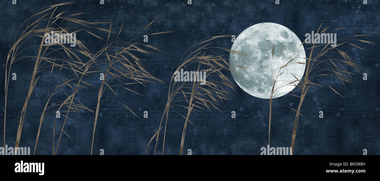 old paper textured background with grass and full moon, panoramic Stock ...
