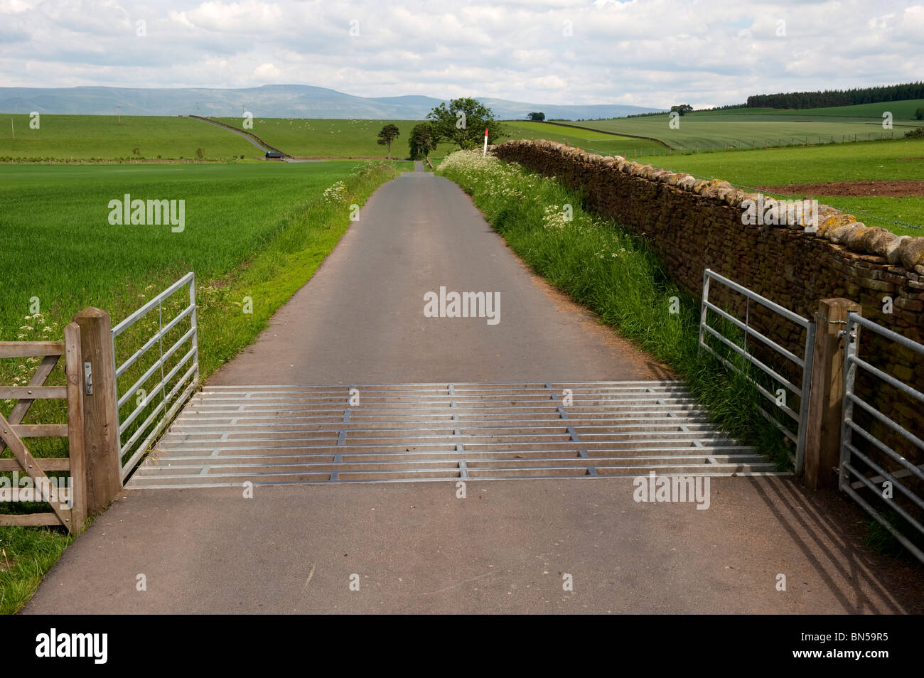 Grid lane hi-res stock photography and images - Alamy