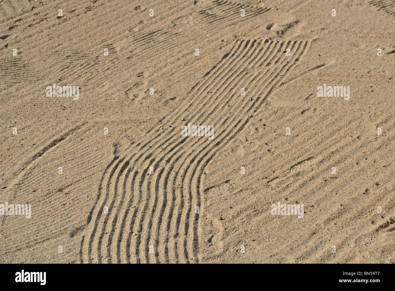 Marks a trap hi-res stock photography and images - Alamy