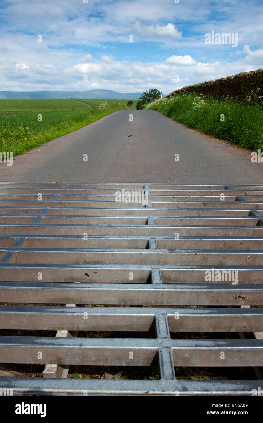 Grid lane hi-res stock photography and images - Alamy