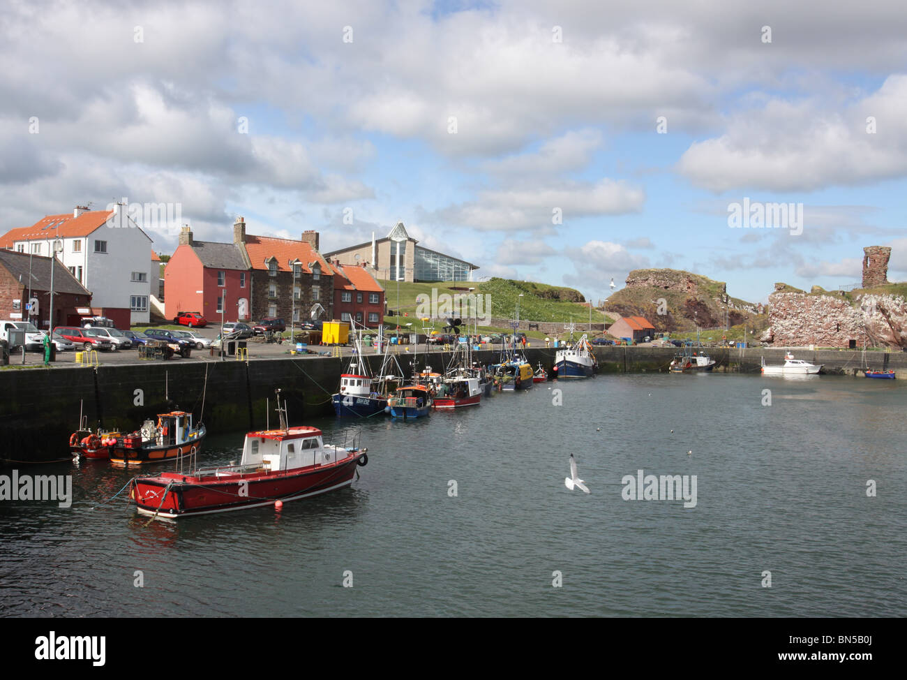 fishing boats in Dunbar harbour Scotland June 2010 Stock Photo - Alamy