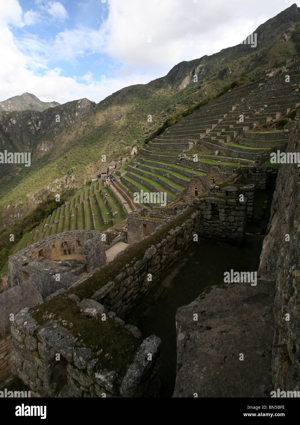 Terraces Machu Picchu, Peru, South America Stock Photo - Alamy