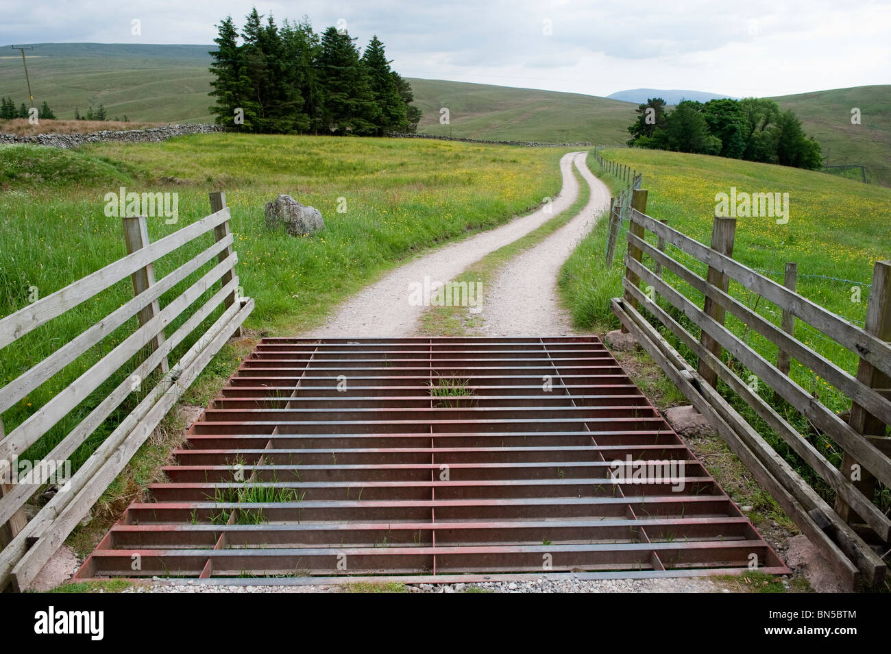 Cattle grid on narrow farm track Stock Photo - Alamy