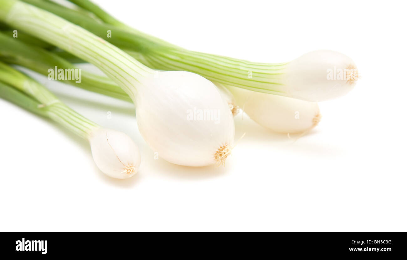 spring onions on white background Stock Photo - Alamy