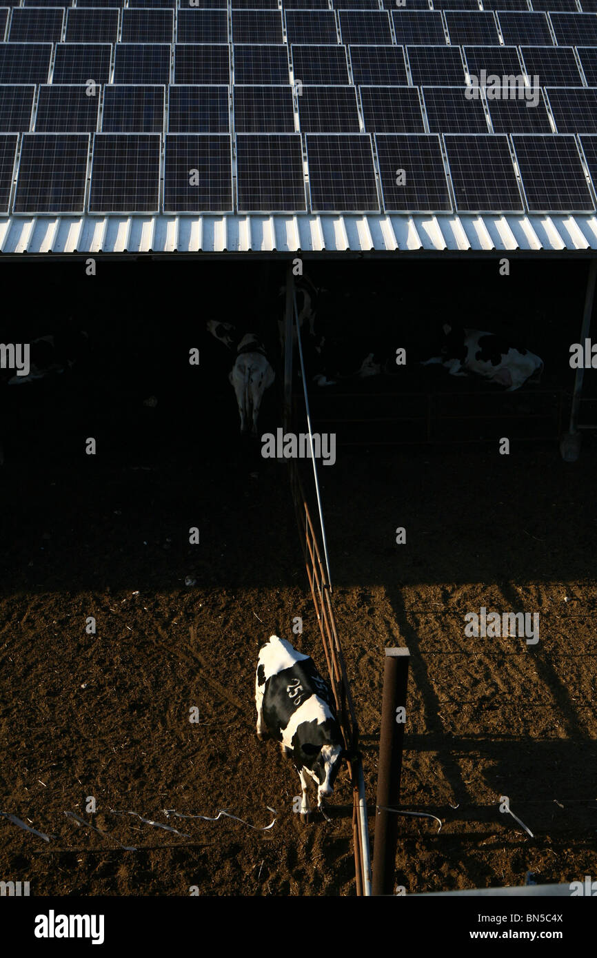 Dairy farm solar panels hi-res stock photography and images - Alamy