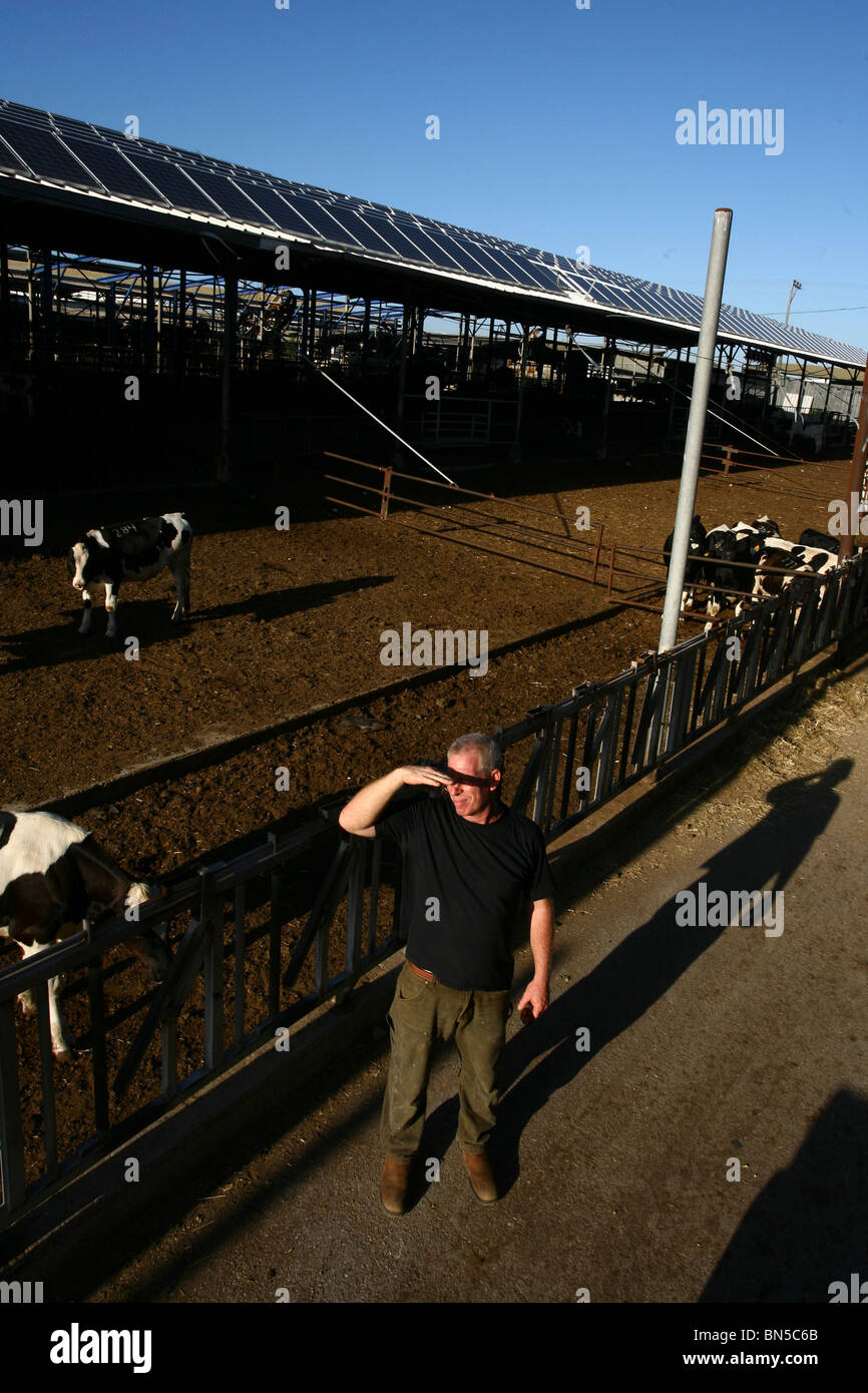 Dairyfarm hi-res stock photography and images - Alamy