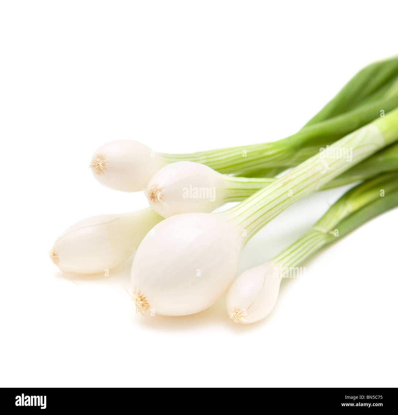 Bulb onion green onions Cut Out Stock Images & Pictures - Alamy