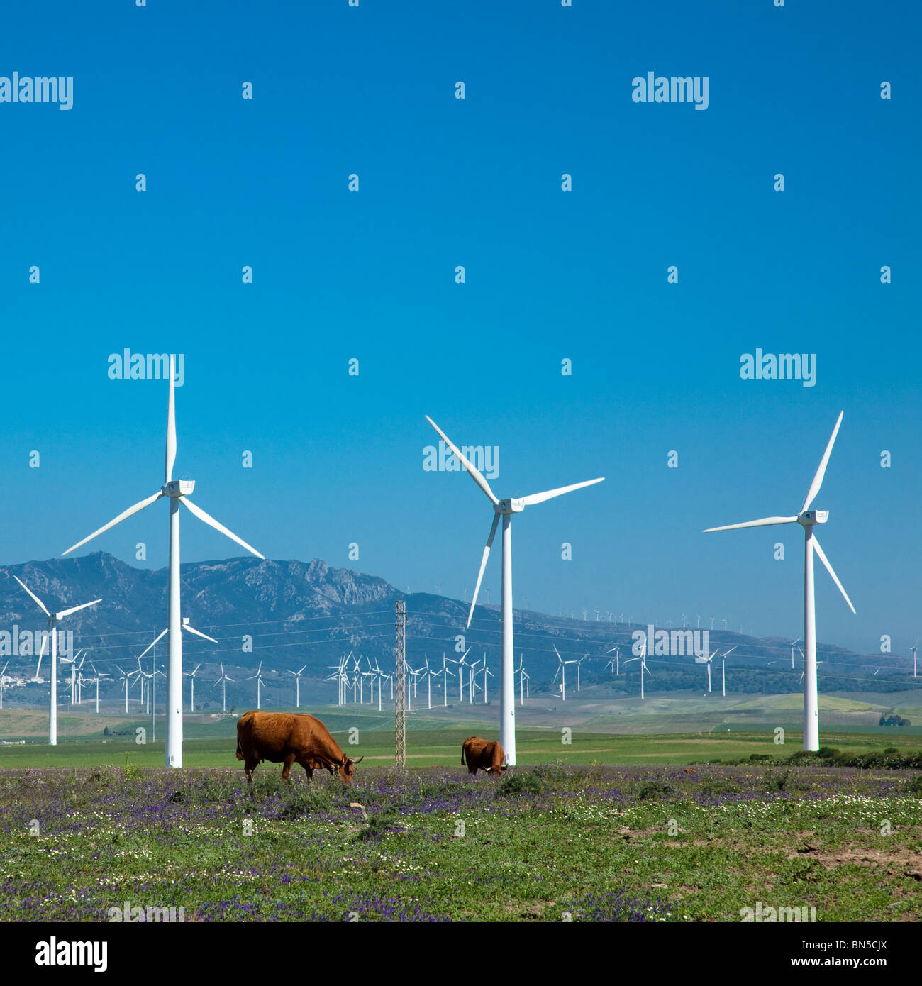 Spanish Wind Farm Stock Photo - Alamy
