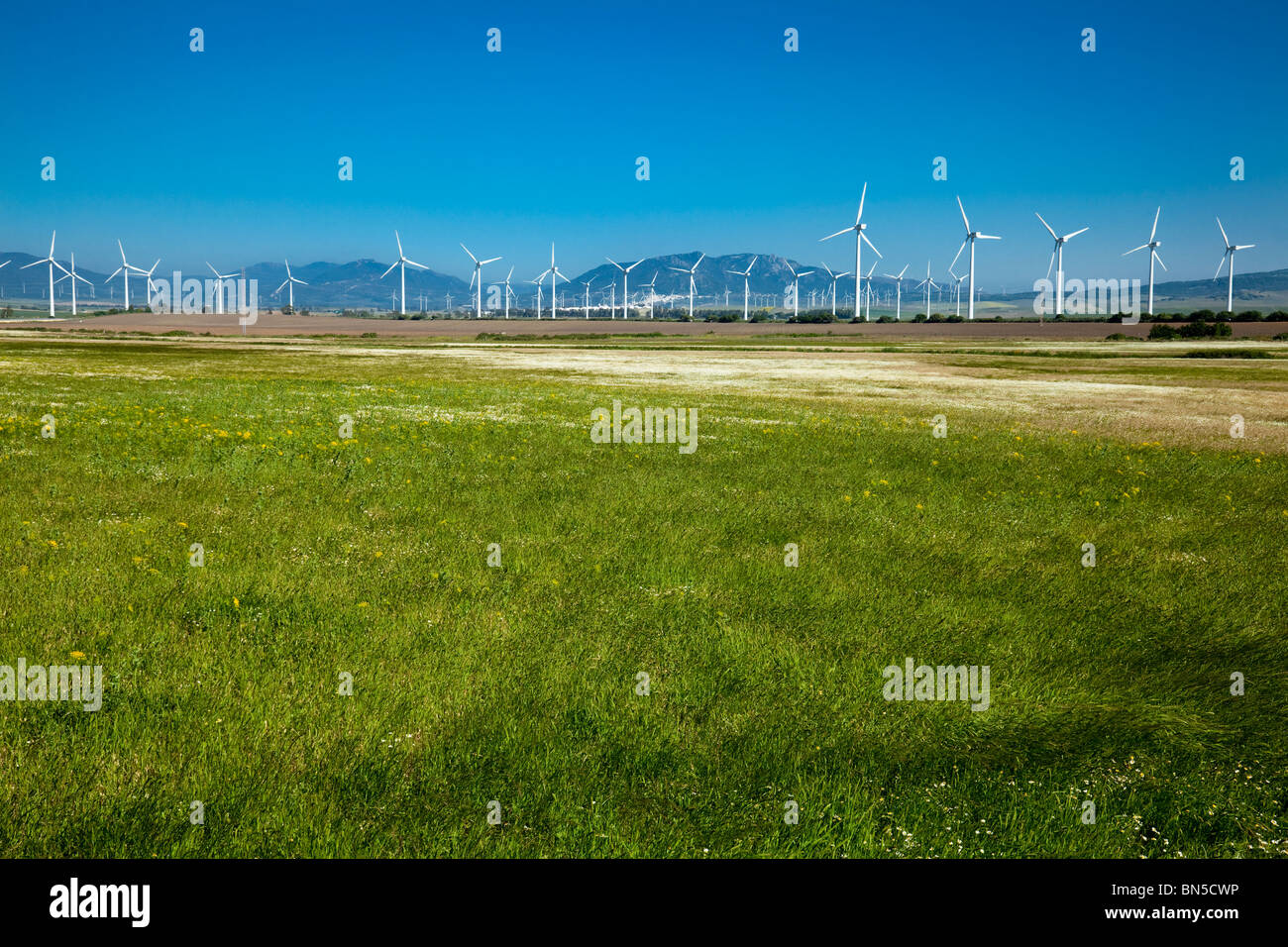 Beaufort wind scale hi-res stock photography and images - Alamy