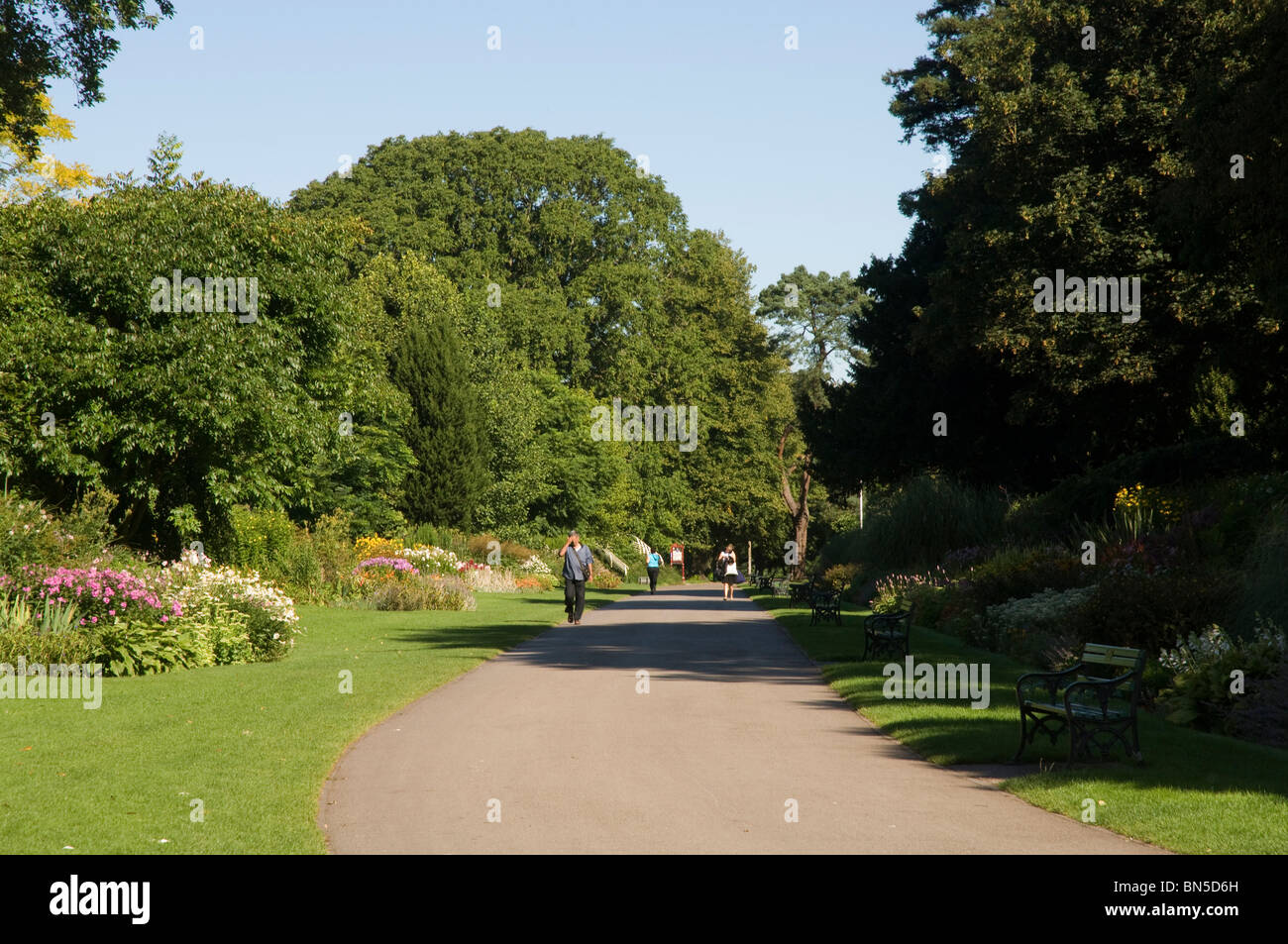 Bute Park Cardiff Wales Uk High Resolution Stock Photography and Images ...