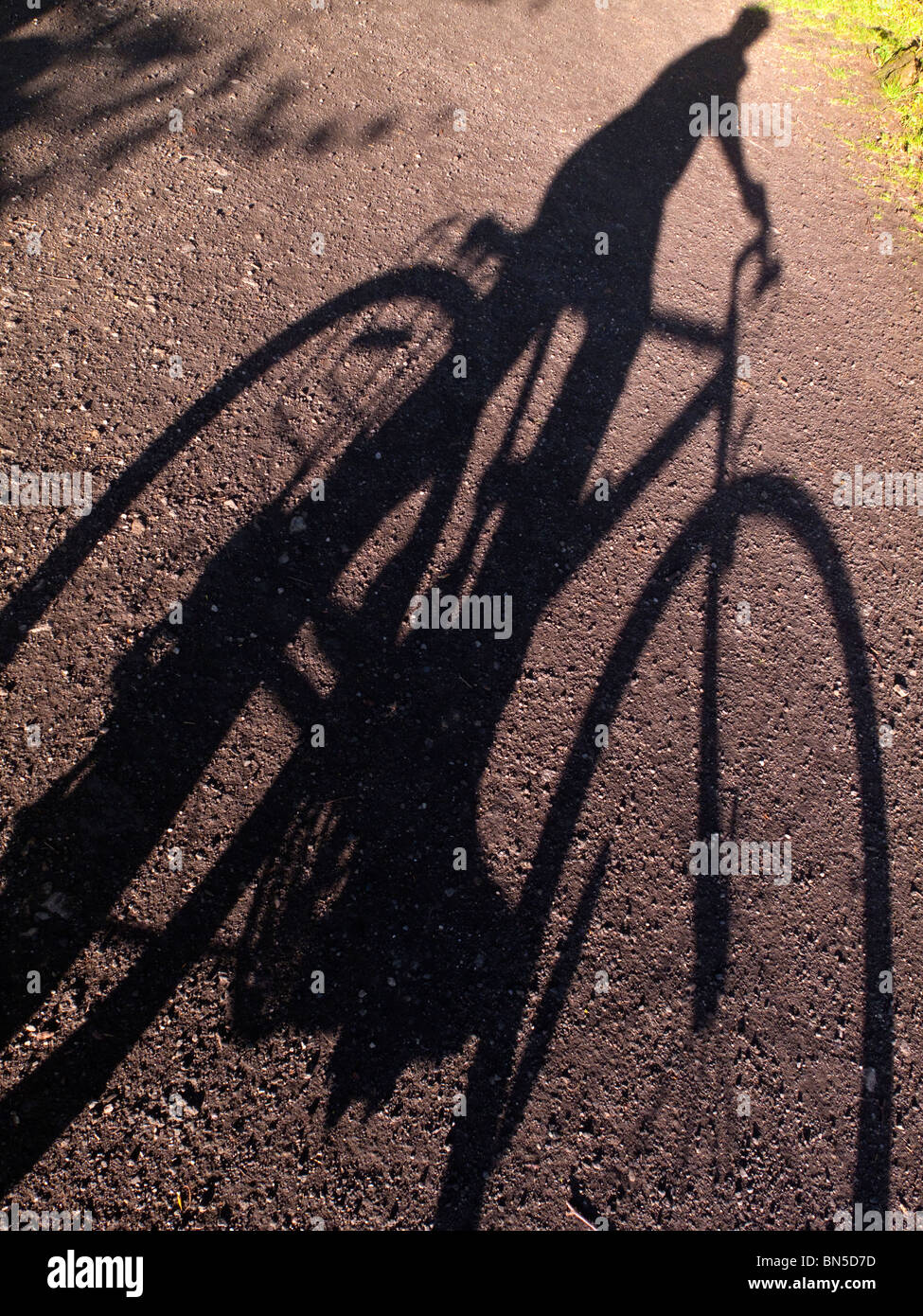 Shadow of cyclist on bicycle trail in late afternoon light Stock Photo ...