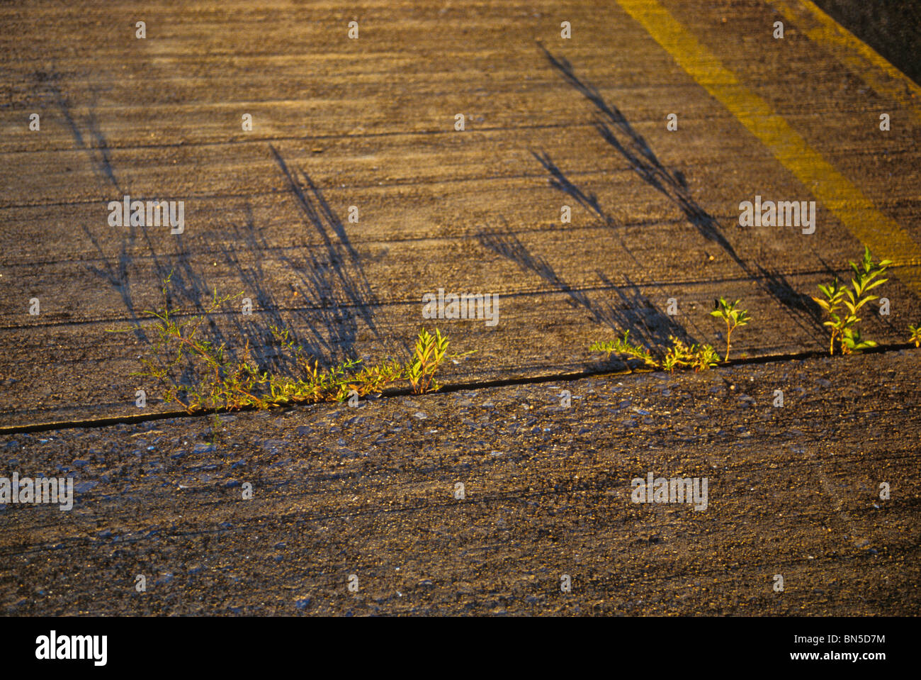 Aerial view landscape countryside farm field shadows Stock Photo - Alamy