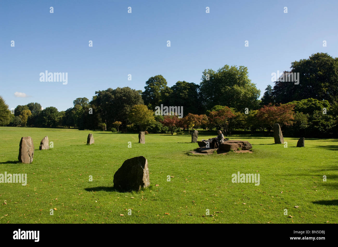 Bute park stones hi-res stock photography and images - Alamy