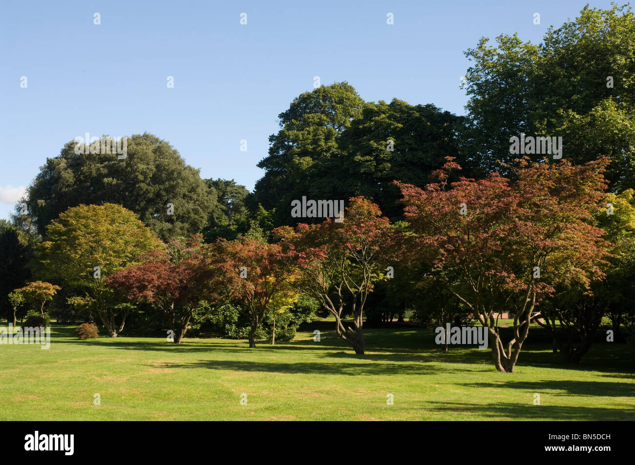 Coopers Field, Bute Park, Cardiff, Wales, UK, Europe Stock Photo - Alamy