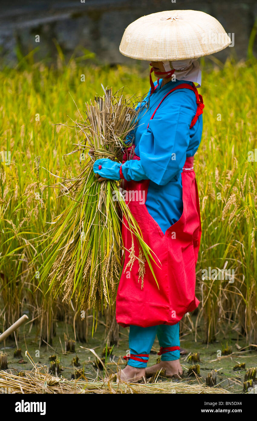 a participants on the rice harvest ceremony held in Fushimi Inari ...