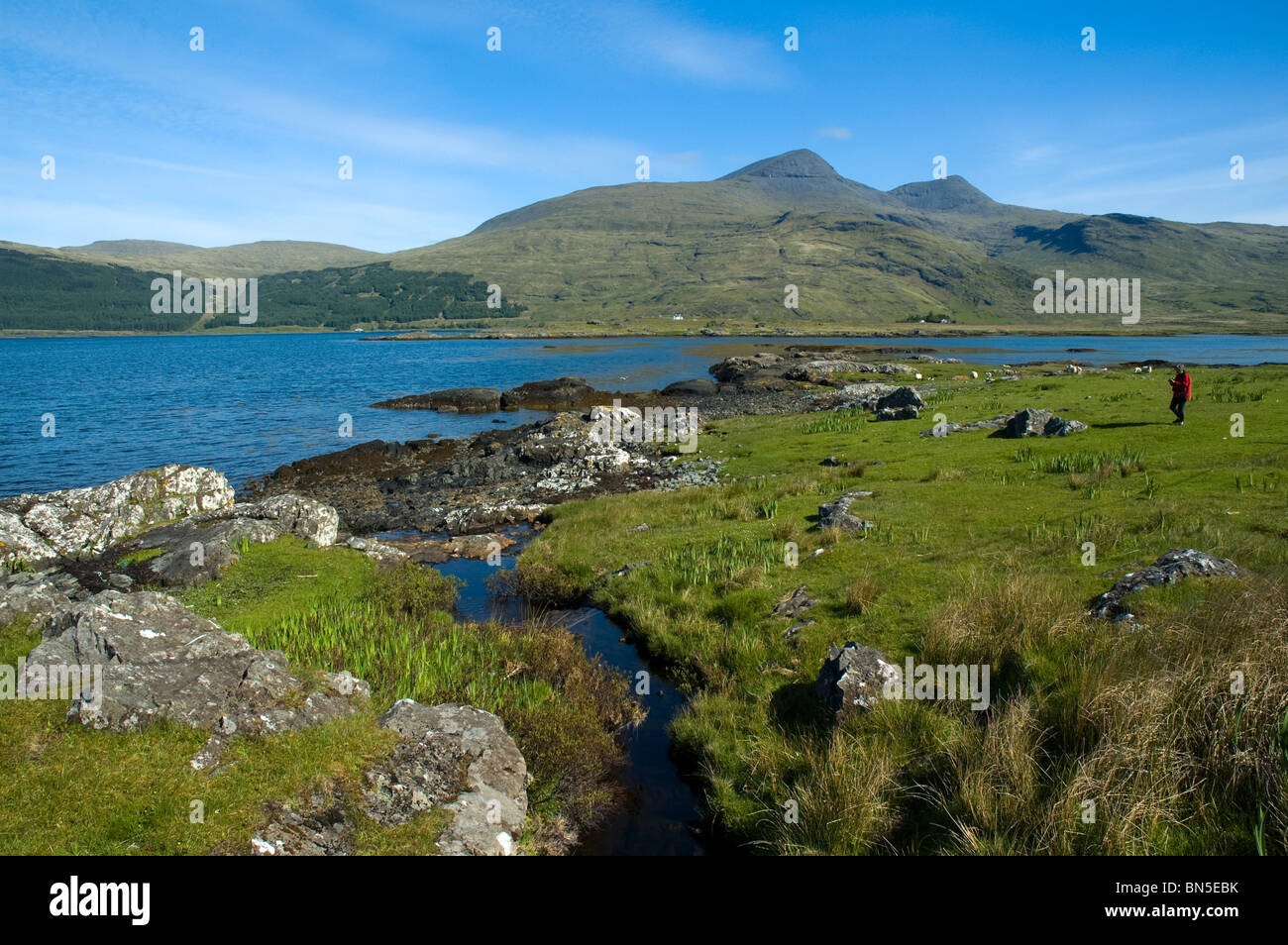 Ben More over Loch Scridain, Isle of Mull, Scotland, UK. Highest peak ...