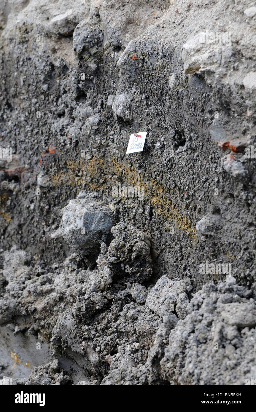Archeology dig tools hi-res stock photography and images - Alamy