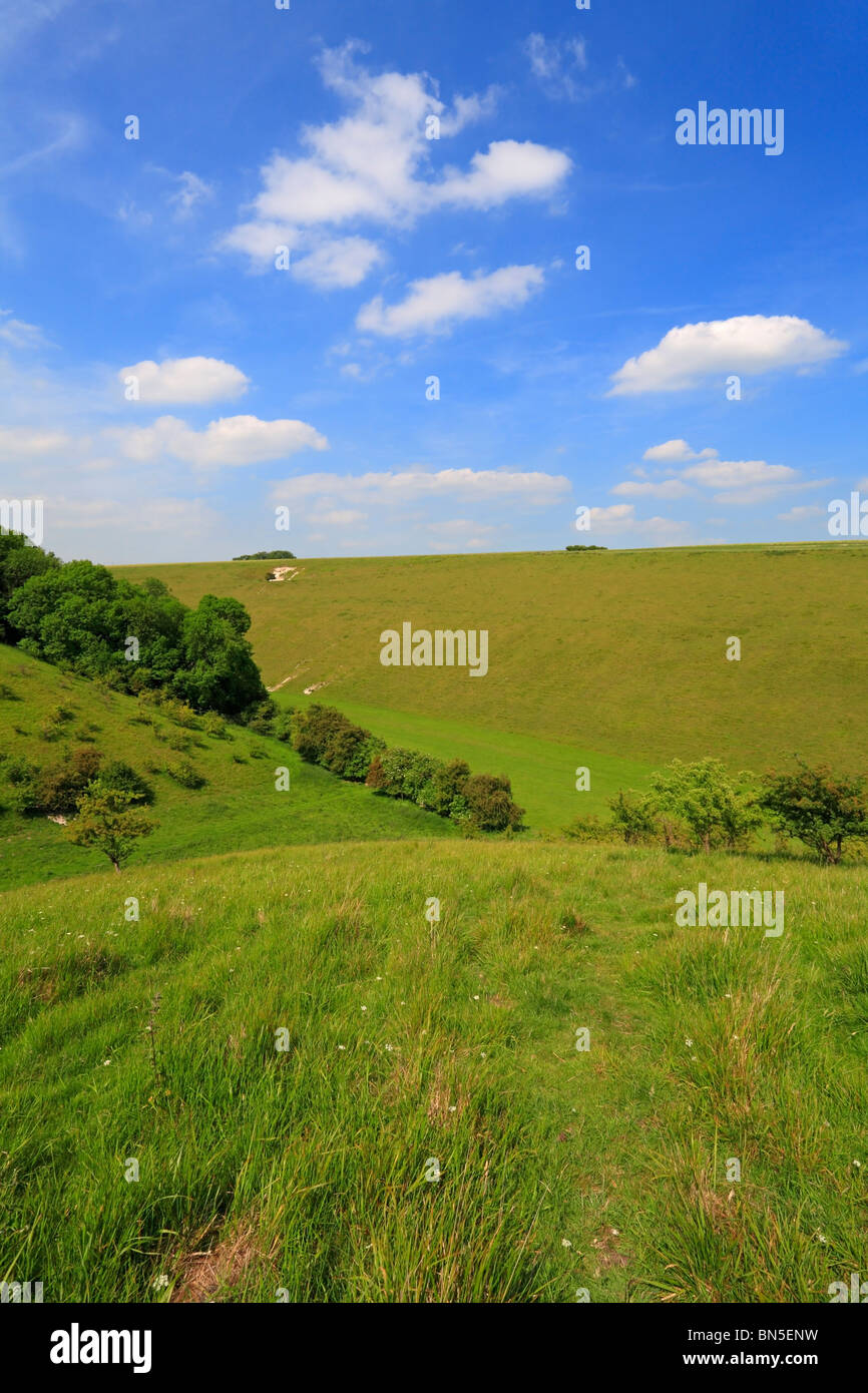 West Dale on the Yorkshire Wolds Way at Fridaythorpe, East Riding of ...