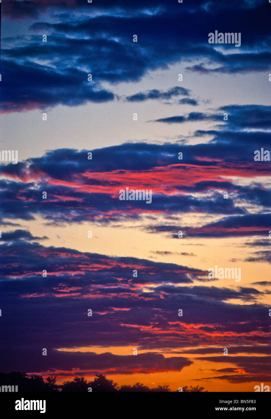 early evening sunset Stock Photo - Alamy