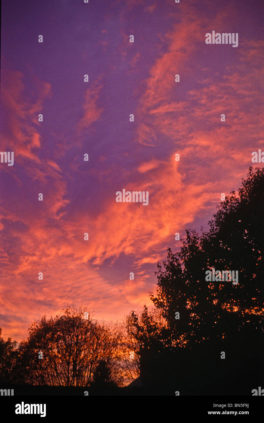 Early evening sunset copy space Stock Photo - Alamy