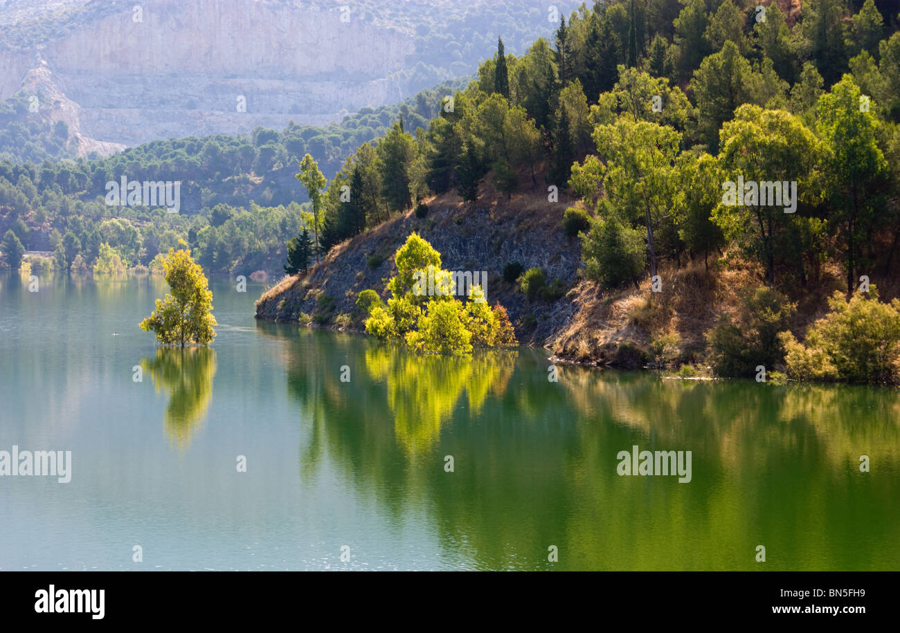 ANDALUCIAN LAKE DISTRICT TREES UNDER WATER WITH REFLECTIONS SPAINISH ...