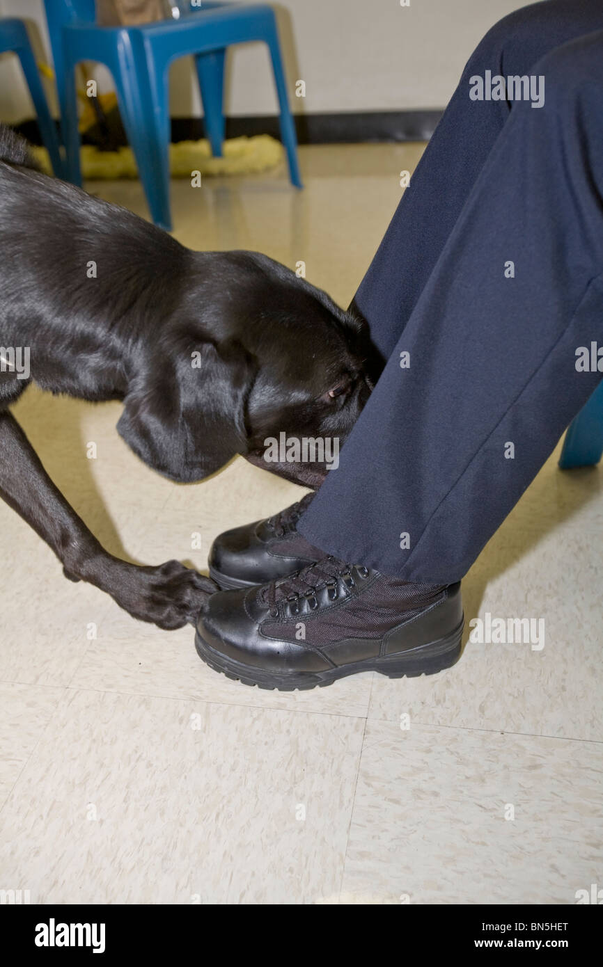 K-9 searching Correctional Officer for drugs. Random drug searches are ...
