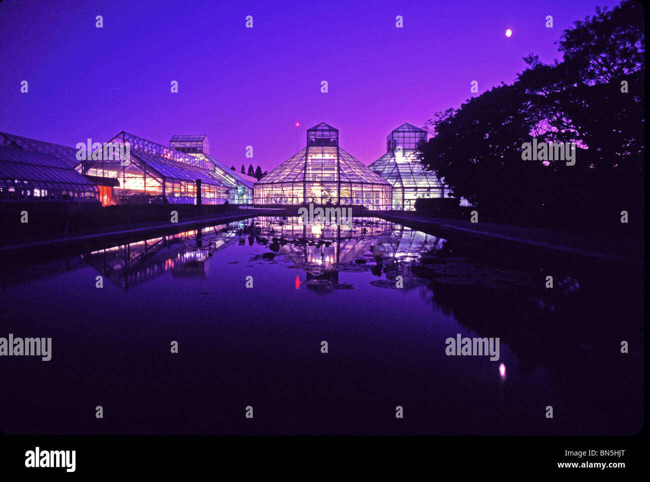 Brooklyn Botanic Garden at night Stock Photo - Alamy