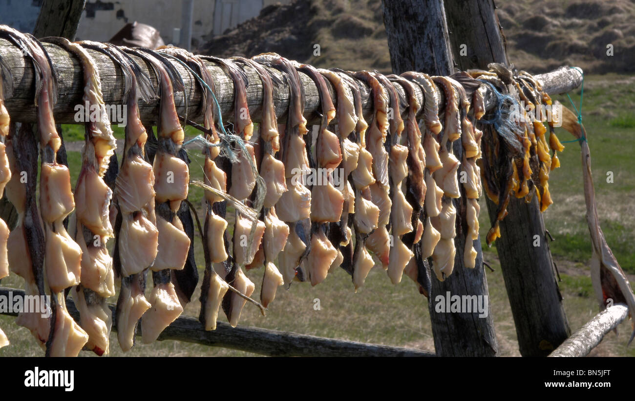 Fish rack hi-res stock photography and images - Alamy
