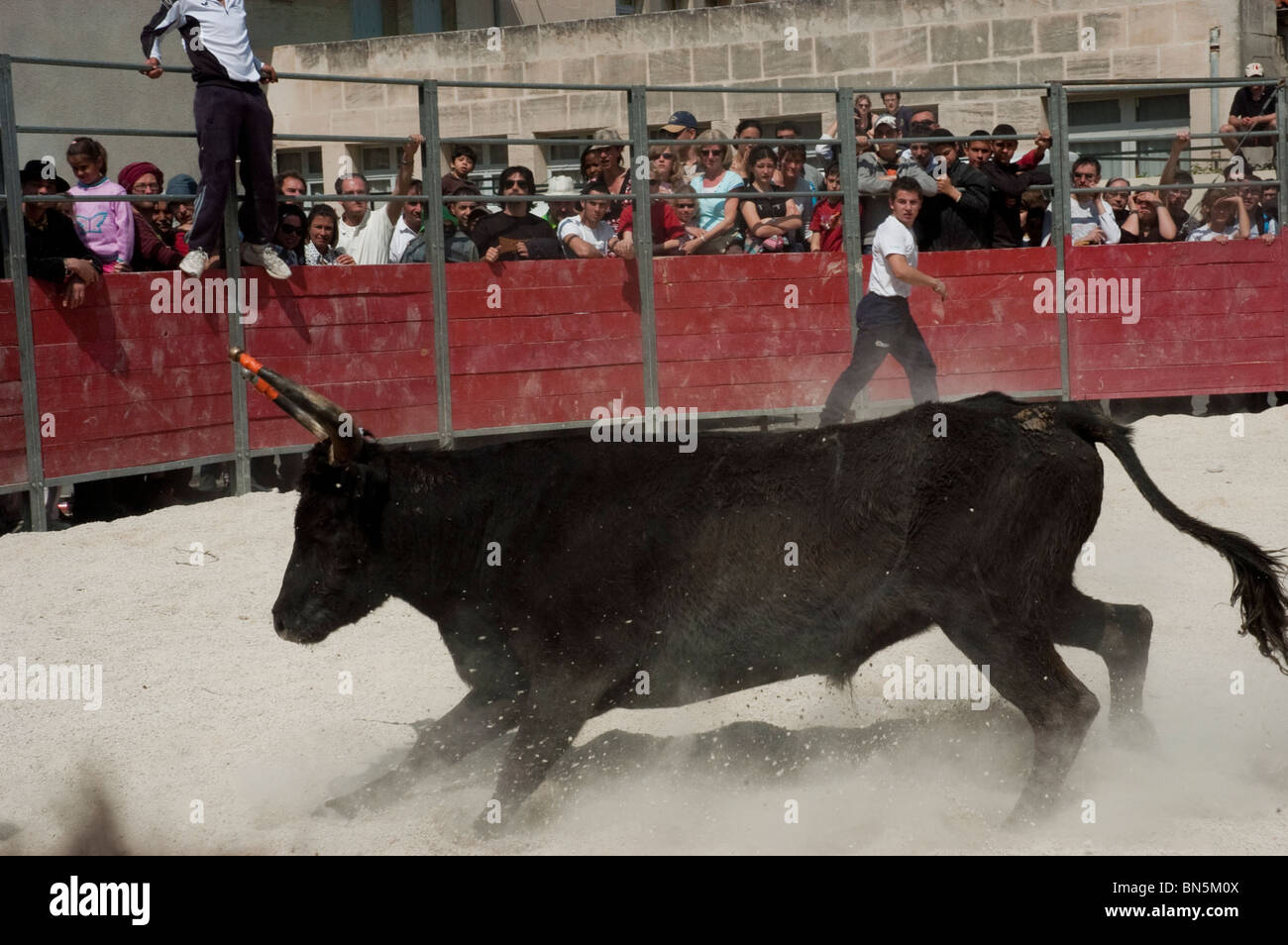 Arles, France - French Male Teenagers Matadors in Traditional Carmaque ...