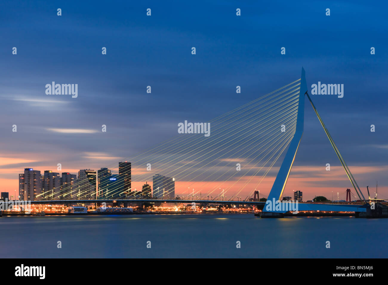 Erasmus bridge in Rotterdam, Netherlands Stock Photo - Alamy