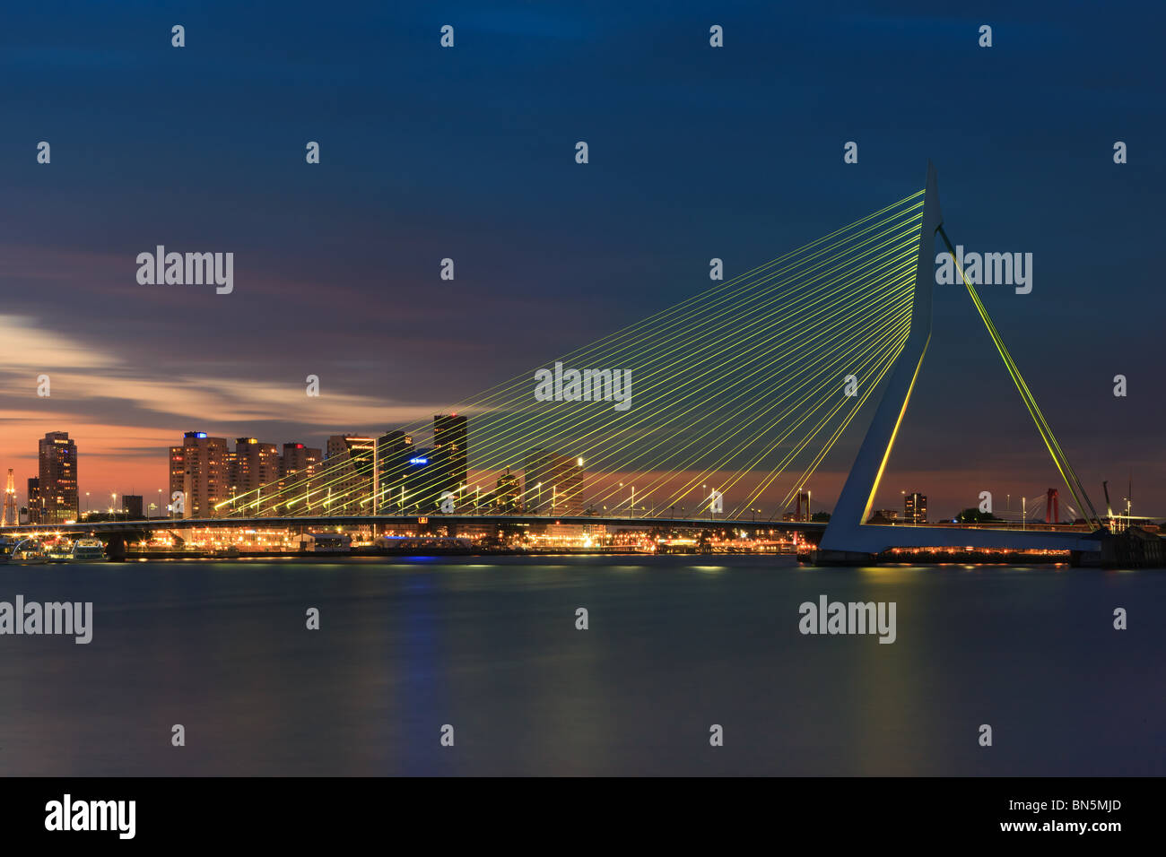 Erasmus bridge in Rotterdam, Netherlands Stock Photo - Alamy