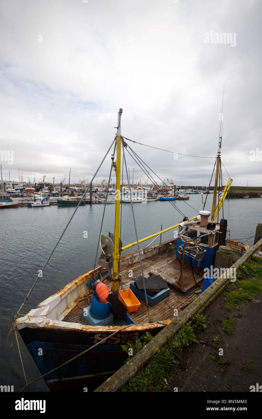 Newlyn Cornwall UK Harbour Harbor Quay Fishing Boats Stock Photo - Alamy